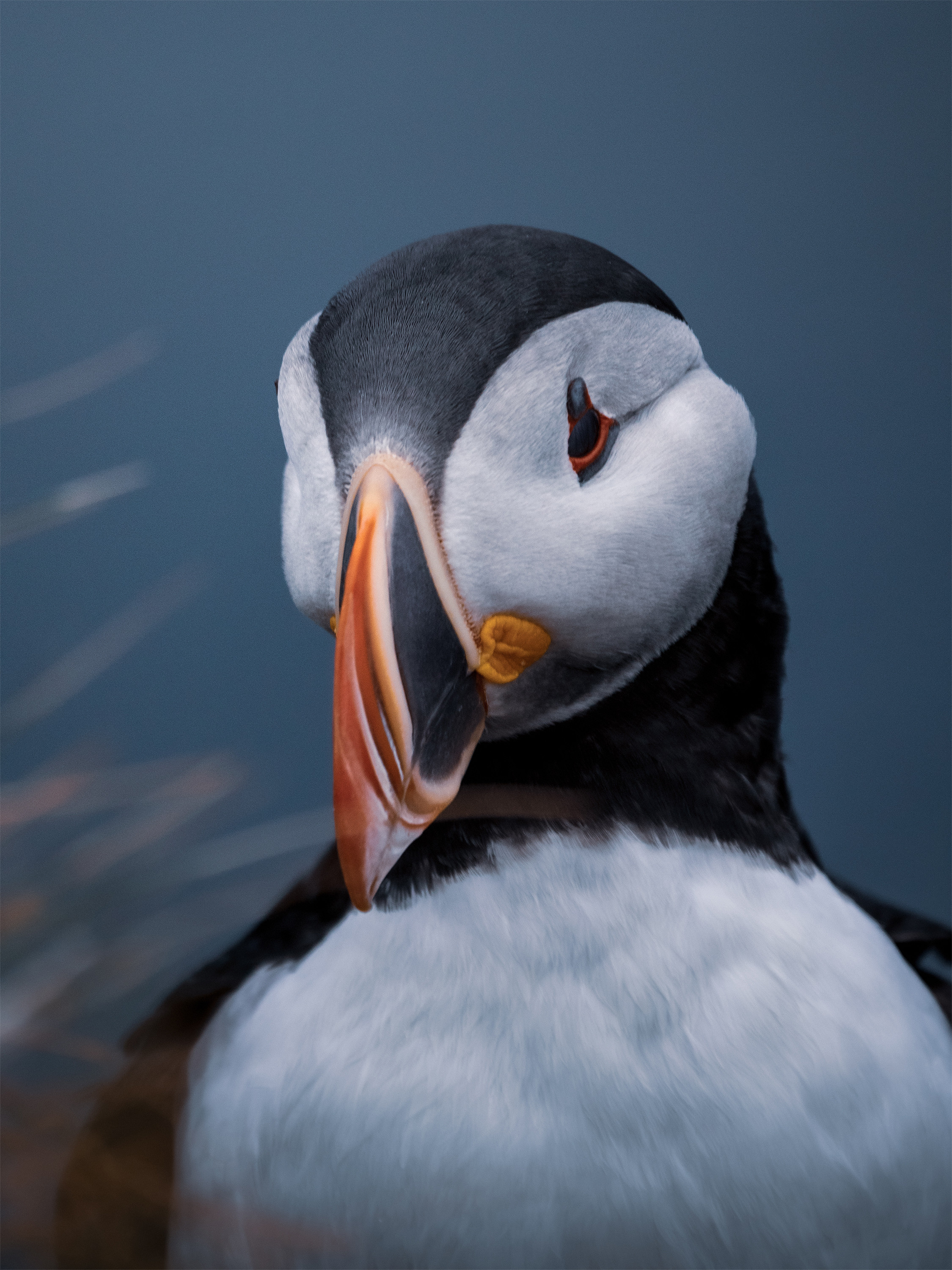 Sony World Photography Awards 2023 - skład jury i terminy wystaw ...