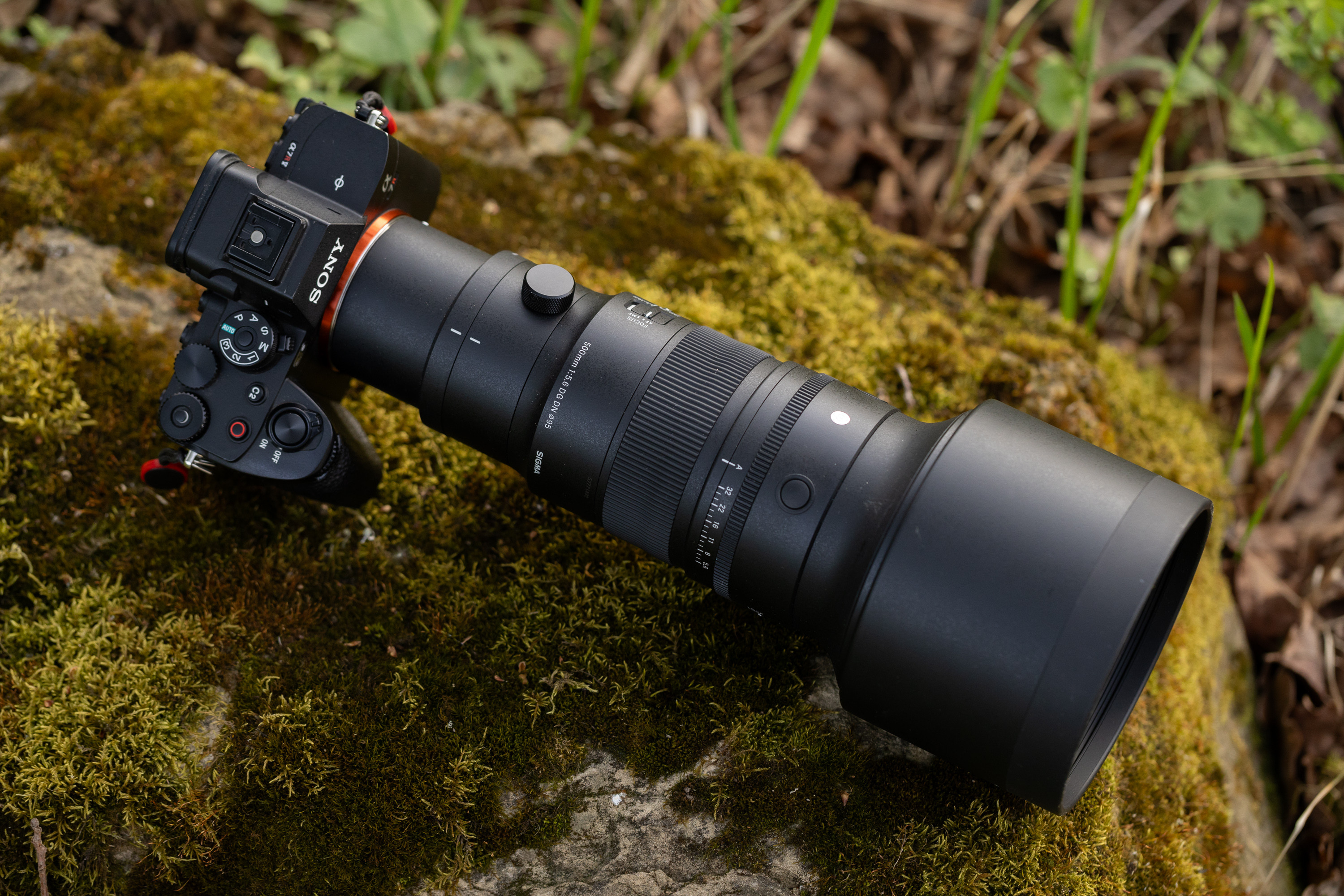 Sigma 500 mm f/5.6 DG DN OS Sports - test praktyczny [Zdjęcia RAW ...
