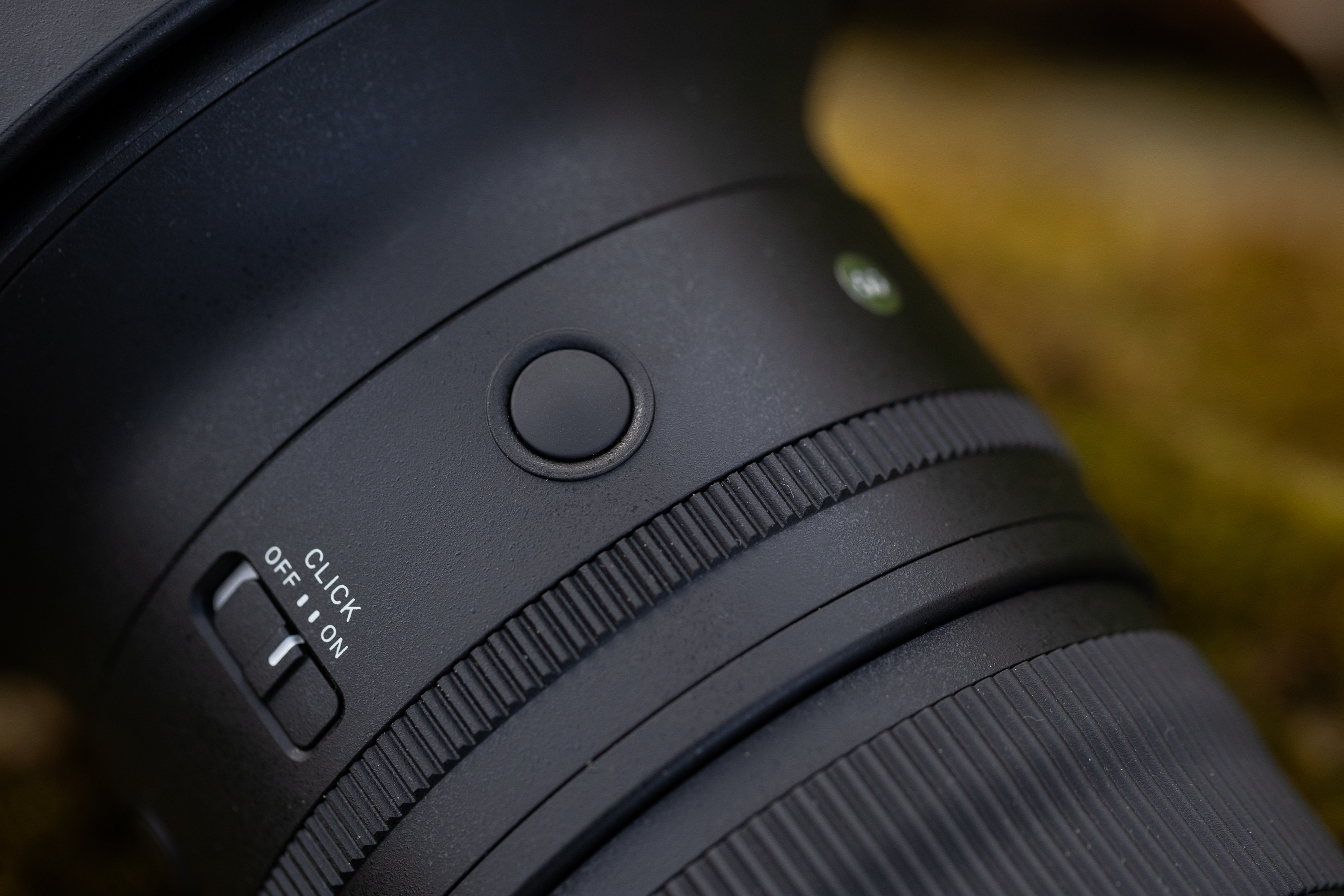 Sigma 500 mm f/5.6 DG DN OS Sports - test praktyczny [Zdjęcia RAW ...